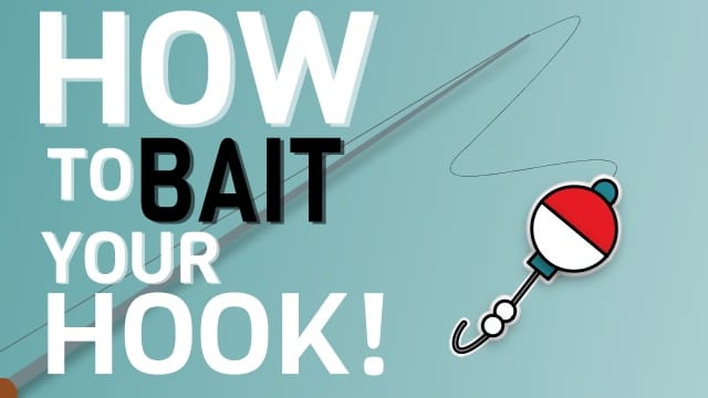 Explainer video maker | Studio